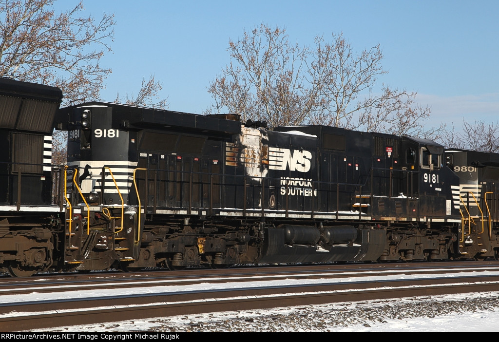 NS 9181